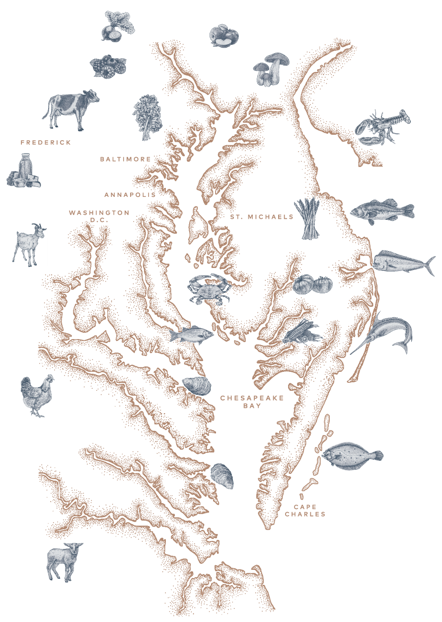 Introduction - Estuary