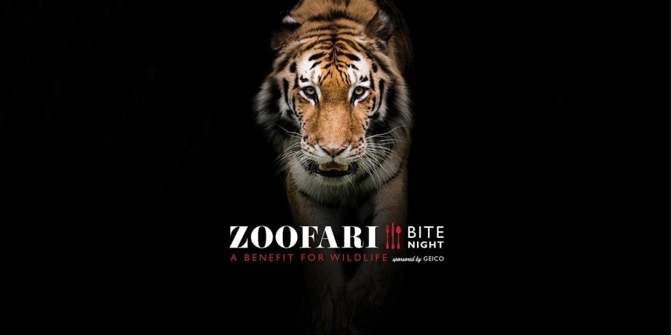 ZooFari: Bite Night - Estuary